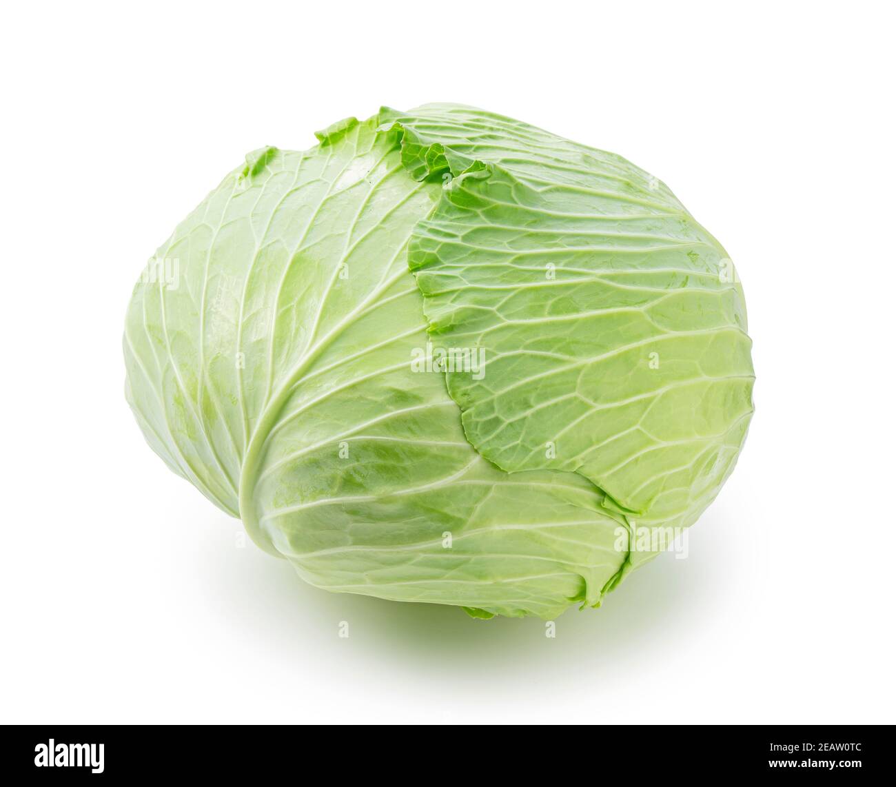 Round cabbage leaf hi-res stock photography and images - Alamy