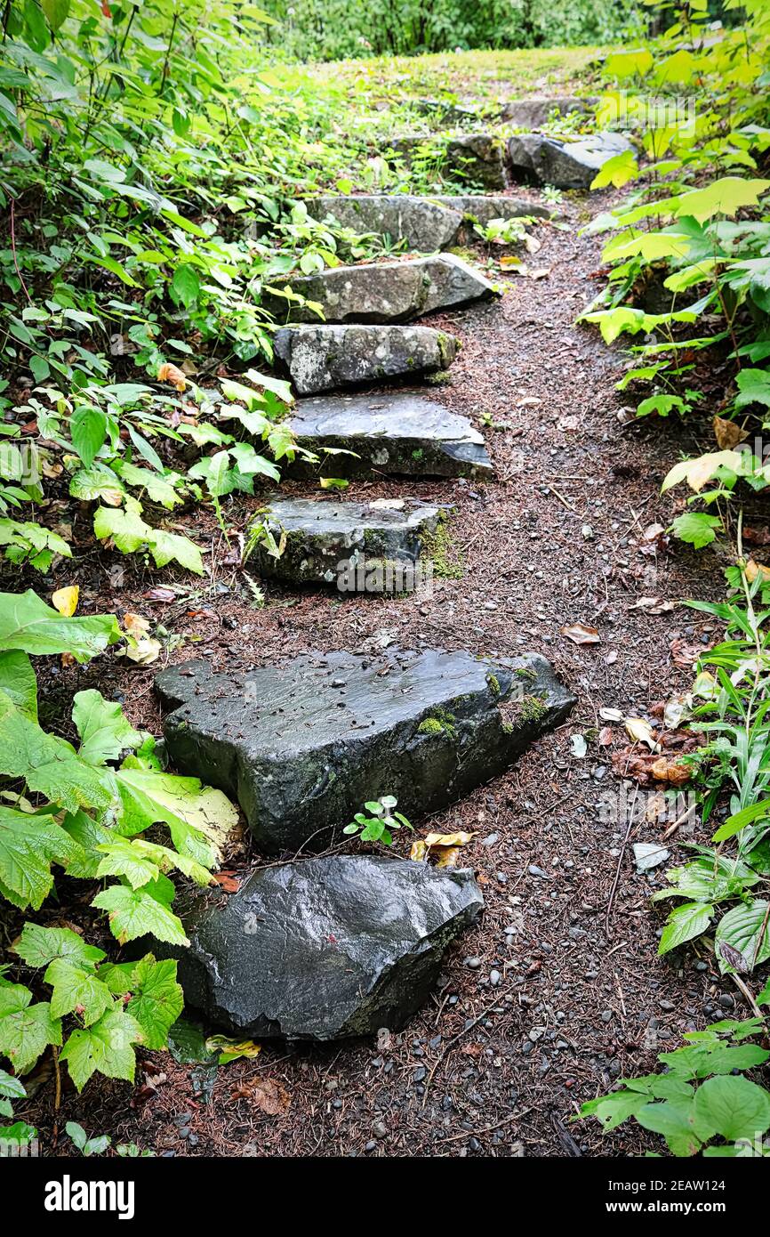Stepping stones path pathway hi-res stock photography and images - Alamy