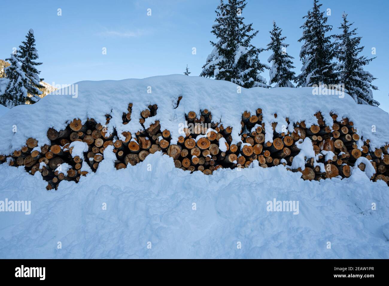 Wooden cut log hi-res stock photography and images - Alamy