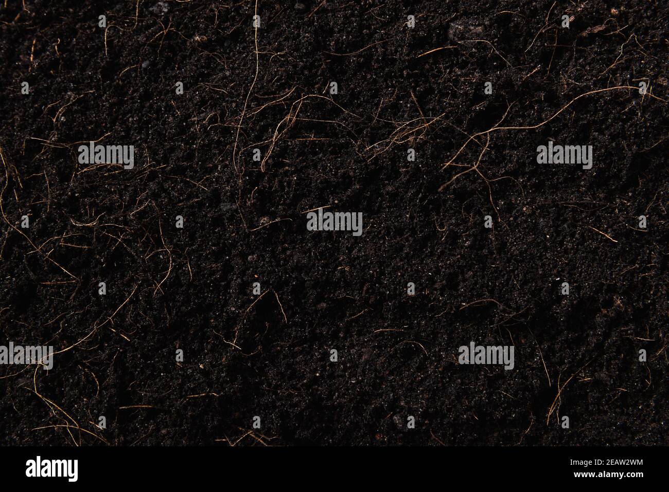Black land for plant background Stock Photo - Alamy