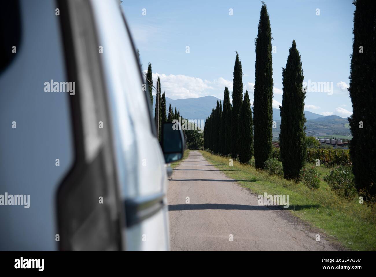 Vanlife - live in a beautiful bus in the open nature surrounded by ...