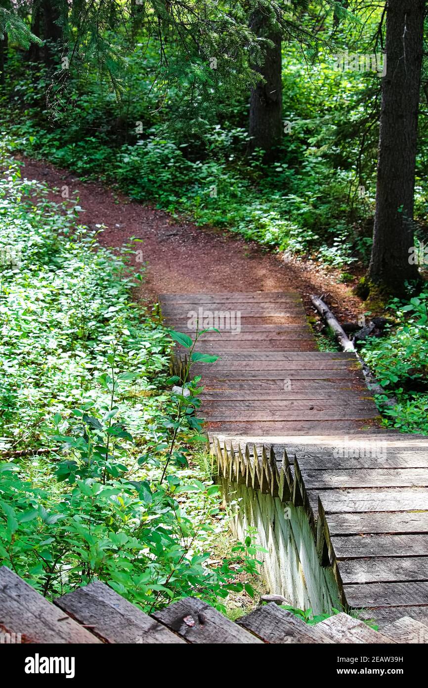 A walking trail leading up to wooden steps Stock Photo - Alamy
