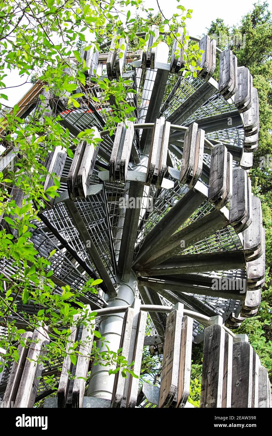Looking up at a spiral staircase surrounded by trees Stock Photo - Alamy