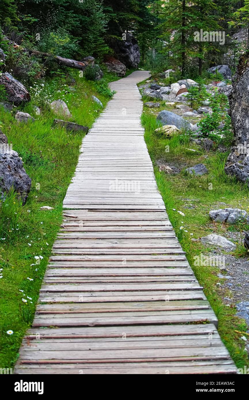 A straight wooden foot path on a hiking trail Stock Photo - Alamy