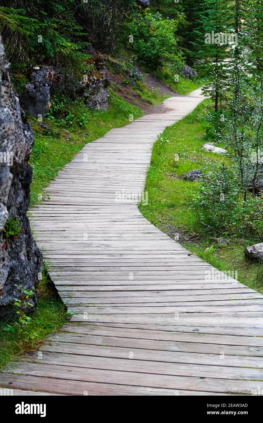 A curved wooden path along a forest rocky wall Stock Photo - Alamy