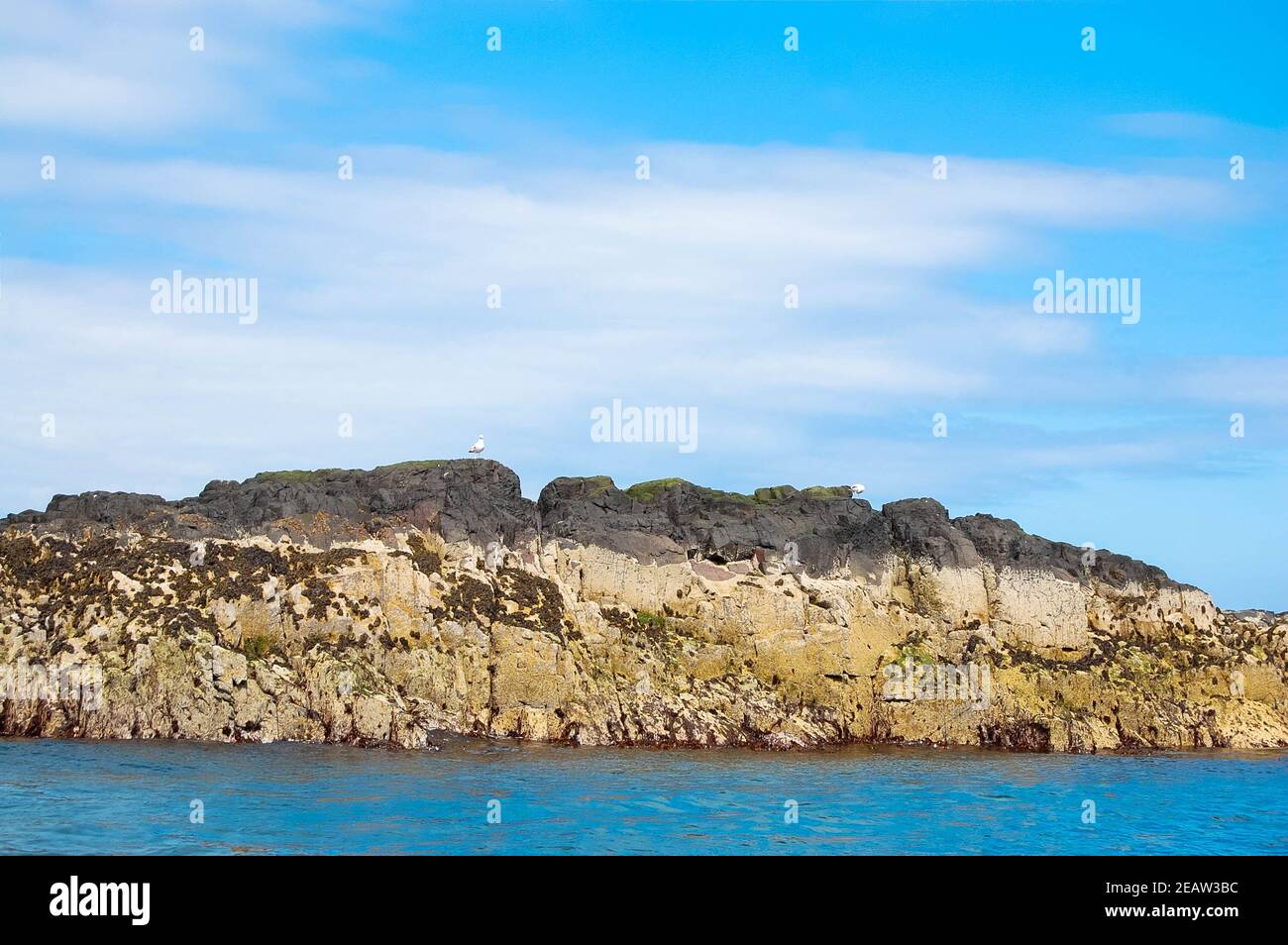 Pembrokeshire coast caves hi-res stock photography and images - Alamy