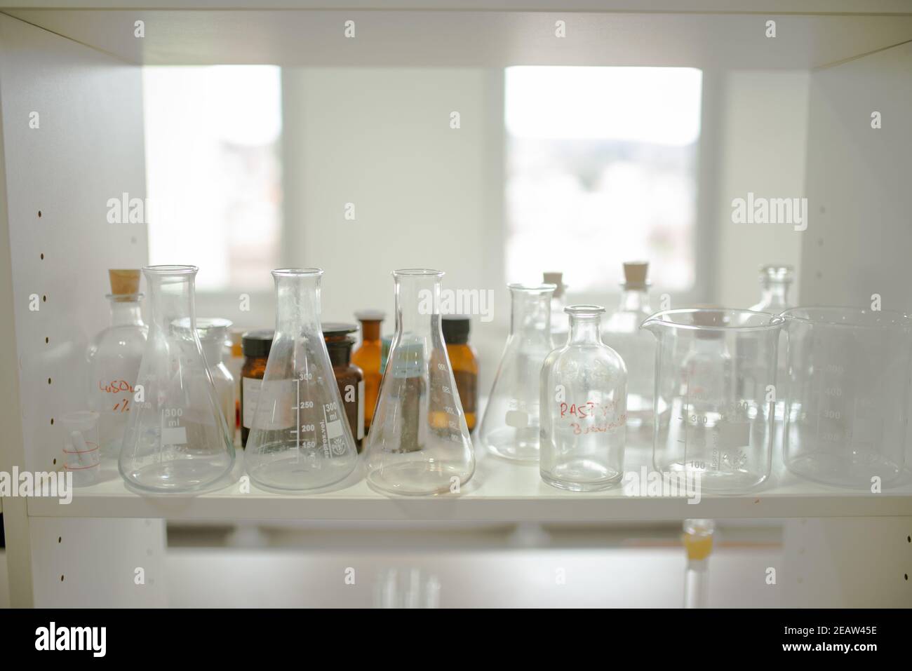 Test tubes in a laboratory on a shelf Stock Photo - Alamy