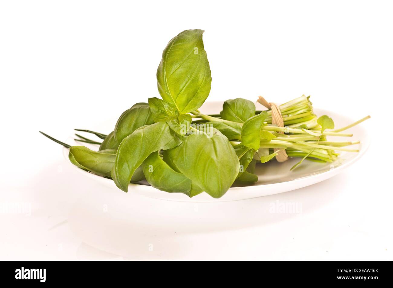 Basil herbs hi-res stock photography and images - Alamy