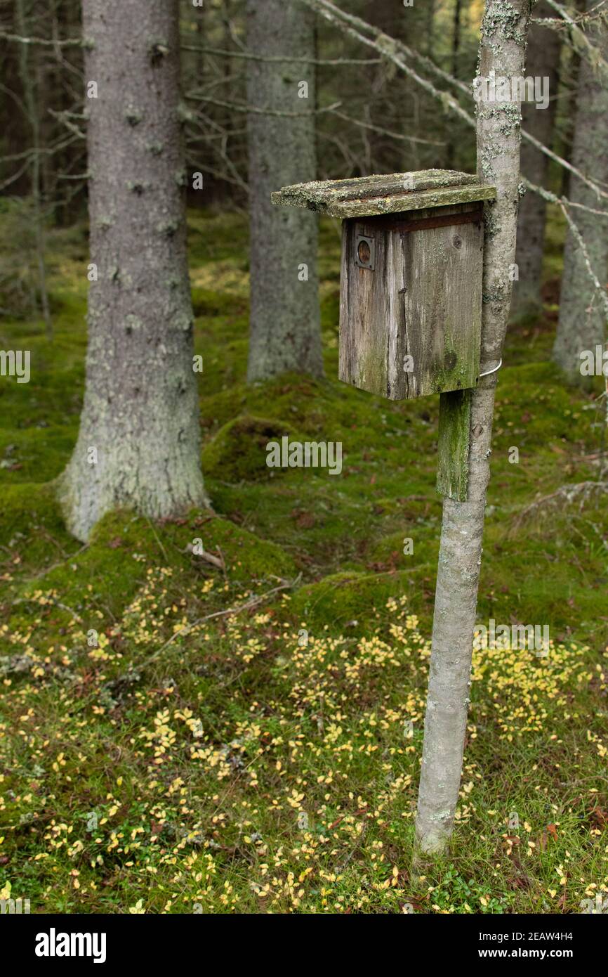 Bird house man made hi-res stock photography and images - Alamy