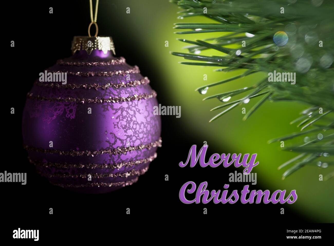 Merry Christmas card violet Stock Photo - Alamy