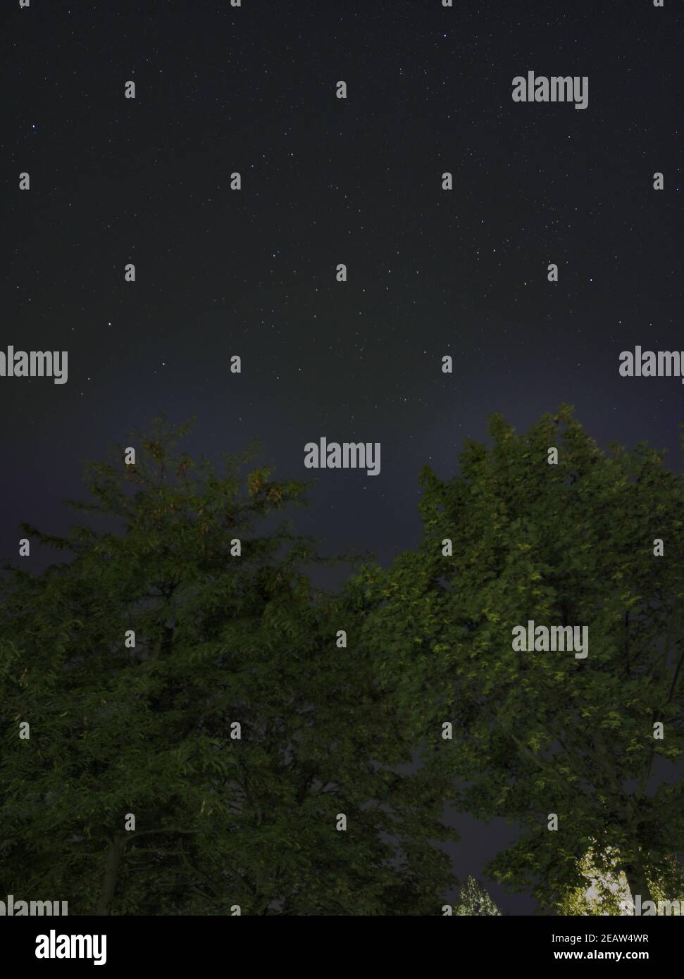 Low angle of the beautiful stars shining in the night sky - great for ...