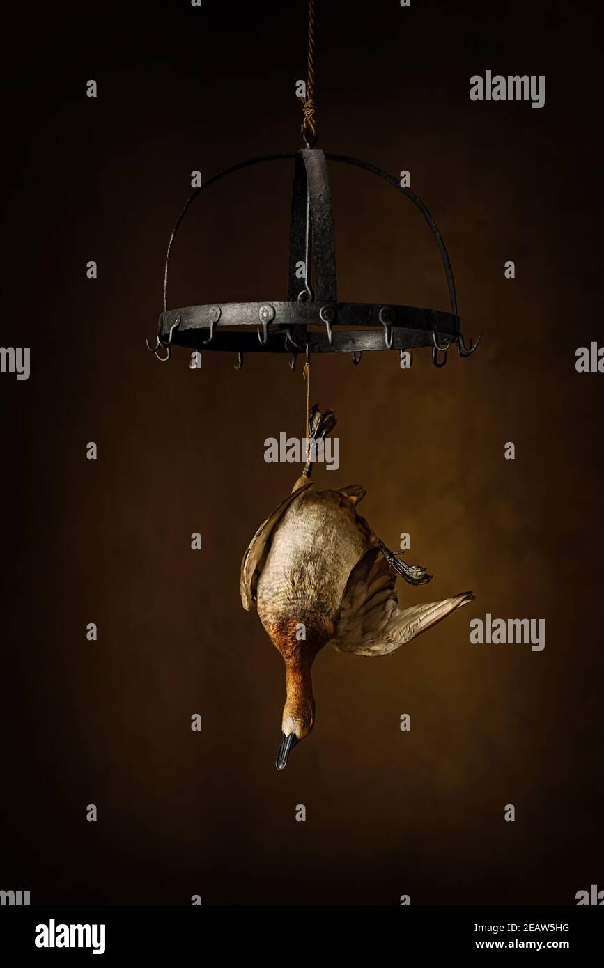 Hanging duck hi-res stock photography and images - Alamy