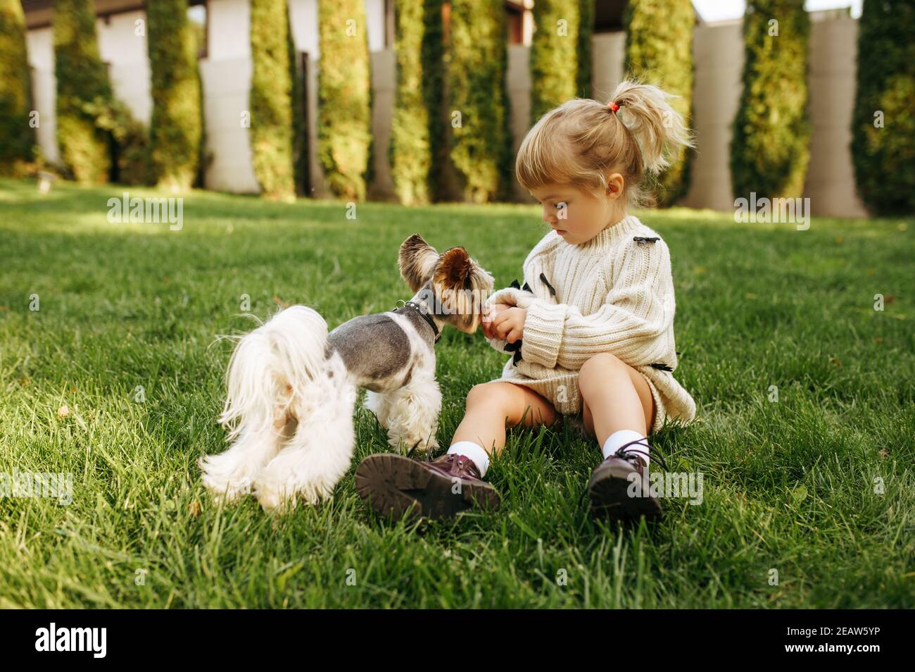 Dog playground children hi-res stock photography and images - Alamy