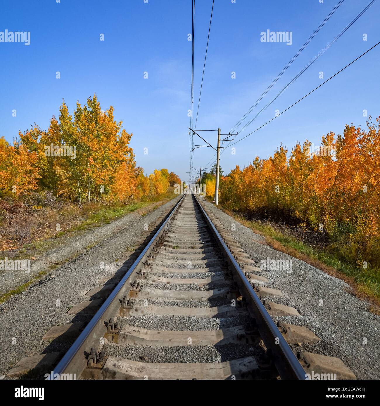 The railway passes through a beautiful autumn forest with colorful ...