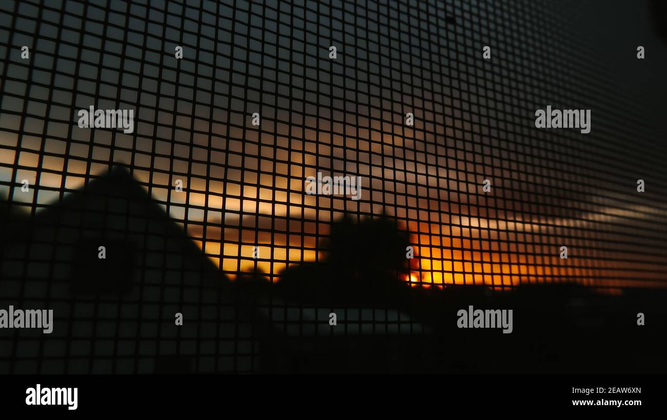 Trees house in backdrop hi-res stock photography and images - Alamy