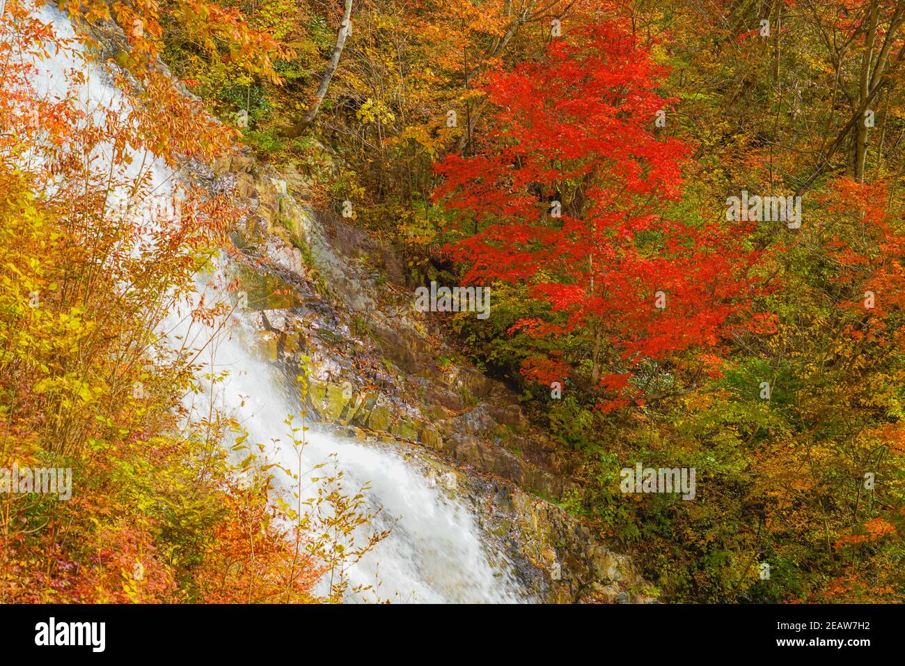 Gunma hi-res stock photography and images - Alamy