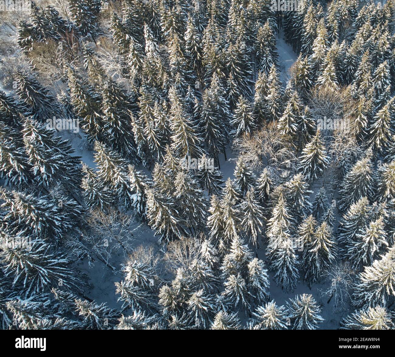 Aerial view over fir hi-res stock photography and images - Alamy