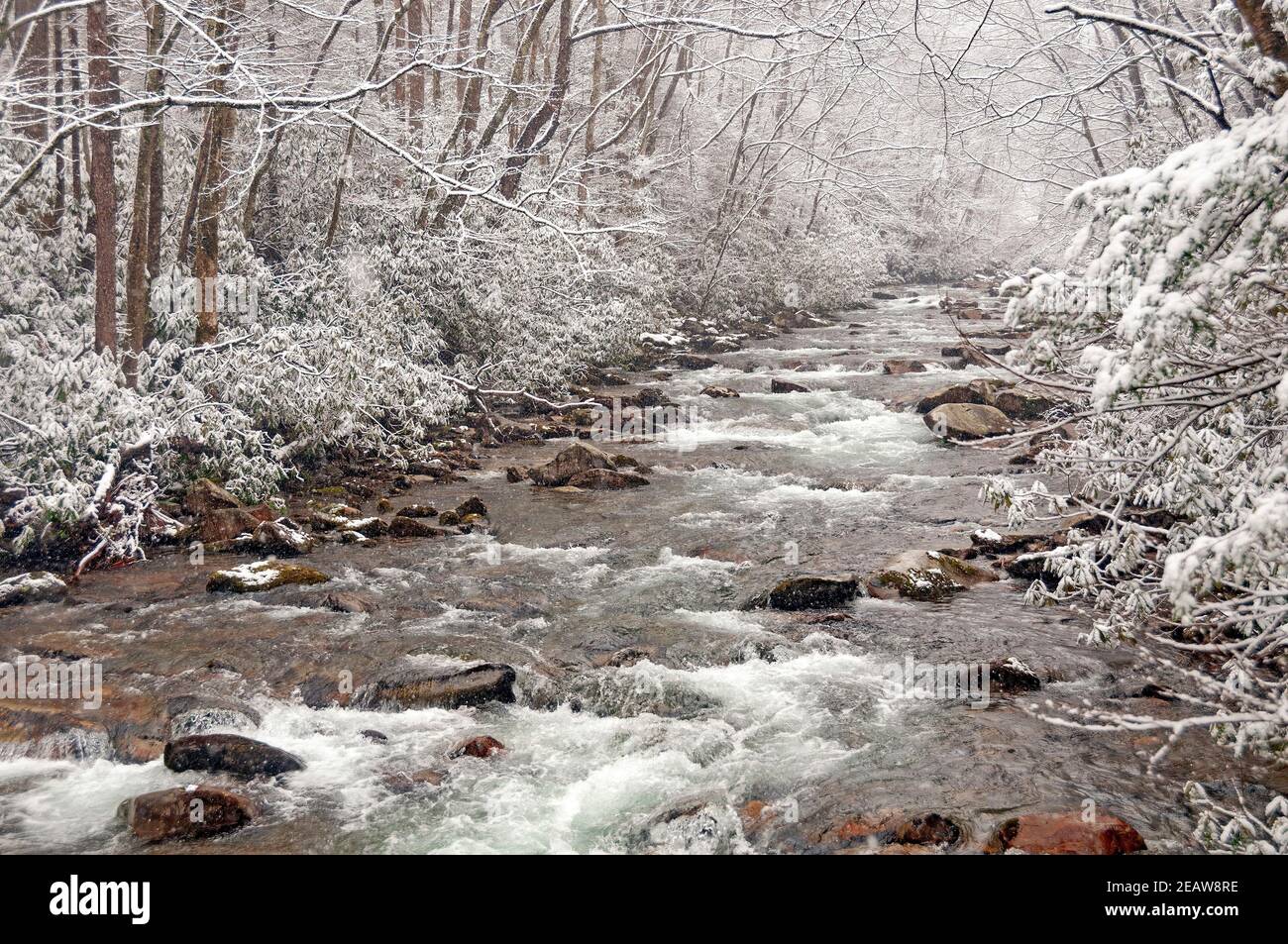Big creek great smoky mountains national park hi-res stock photography ...