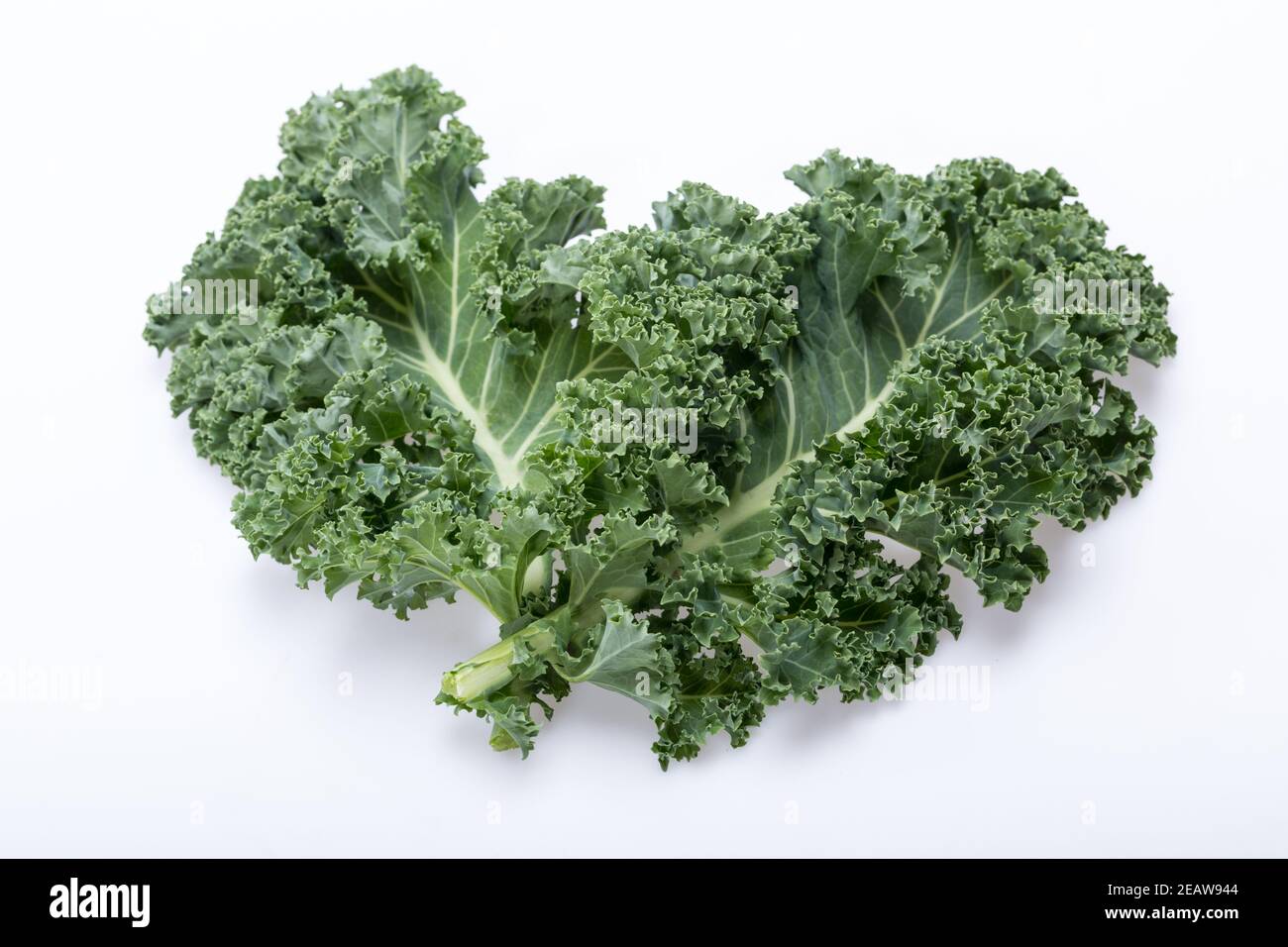 A healthy fresh curly kale Stock Photo - Alamy