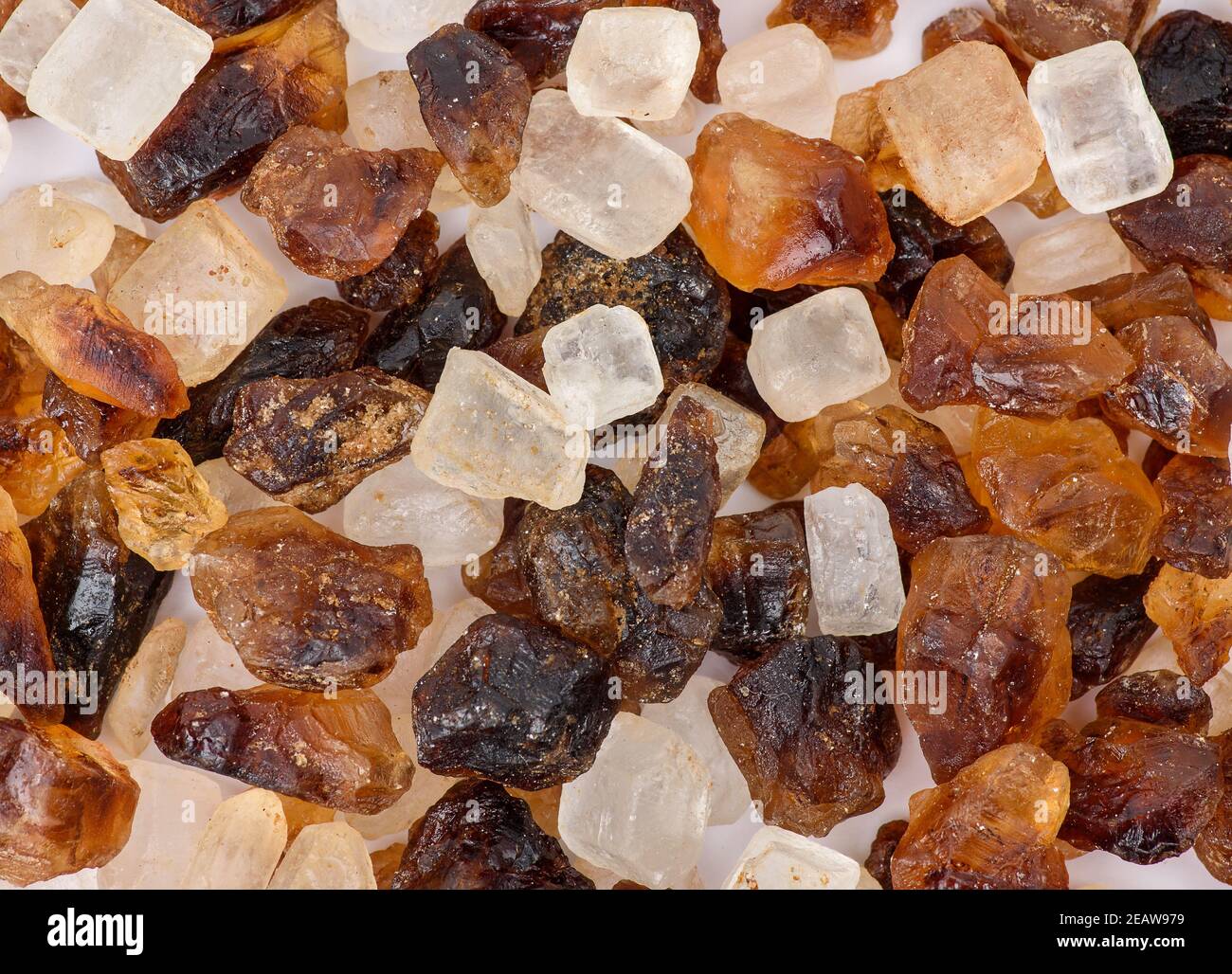 Sugar cane frame hi-res stock photography and images - Alamy