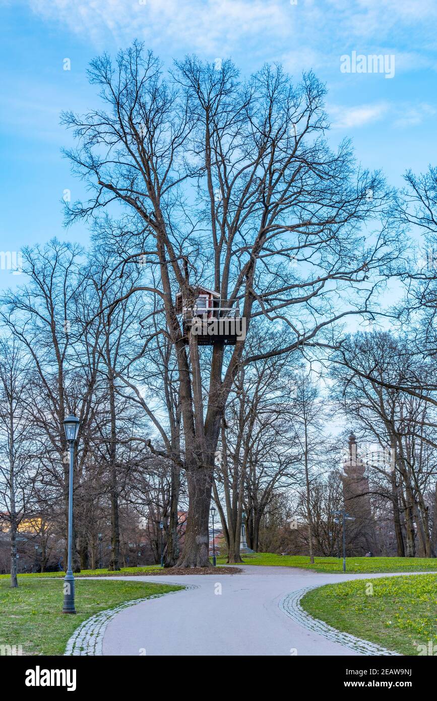 Tree top hut sweden hi-res stock photography and images - Alamy