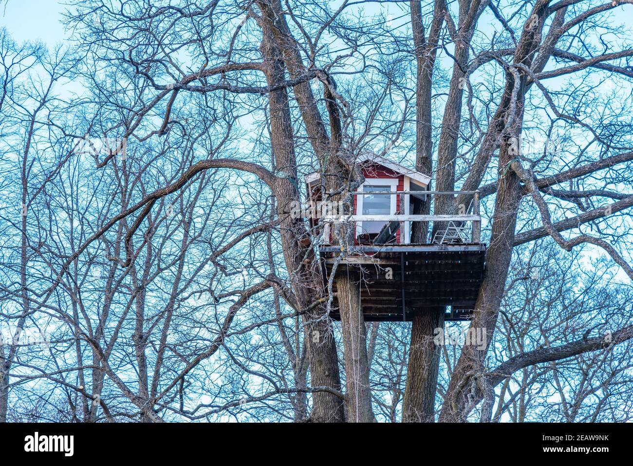 Tree top hut sweden hi-res stock photography and images - Alamy