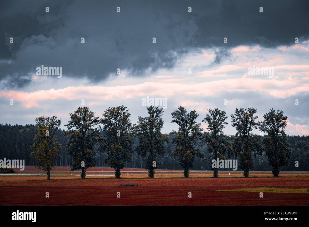 Bavarian landscape with rain clouds Stock Photo - Alamy