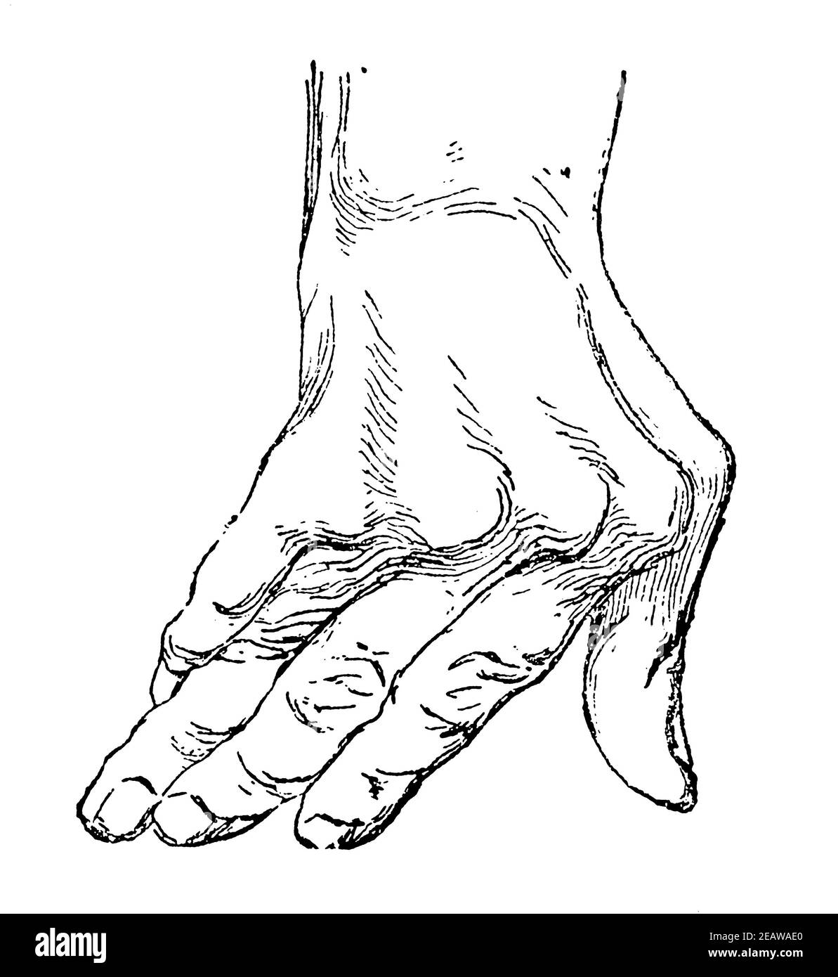 Long standing history Cut Out Stock Images & Pictures - Alamy