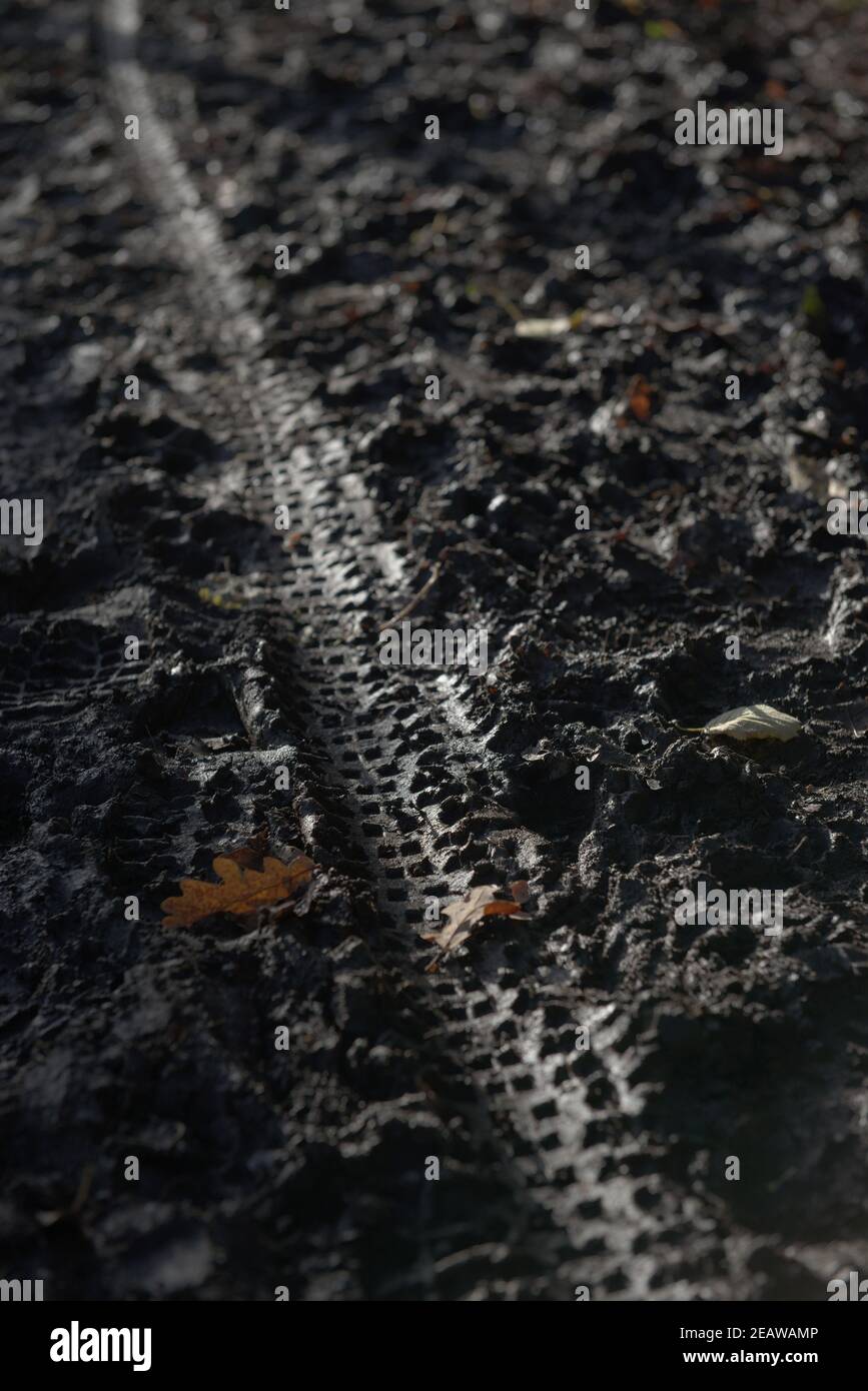 Boot Footprints In Mud High Resolution Stock Photography and Images - Alamy