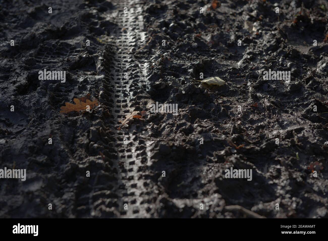 Waterlogged Trail High Resolution Stock Photography and Images - Alamy
