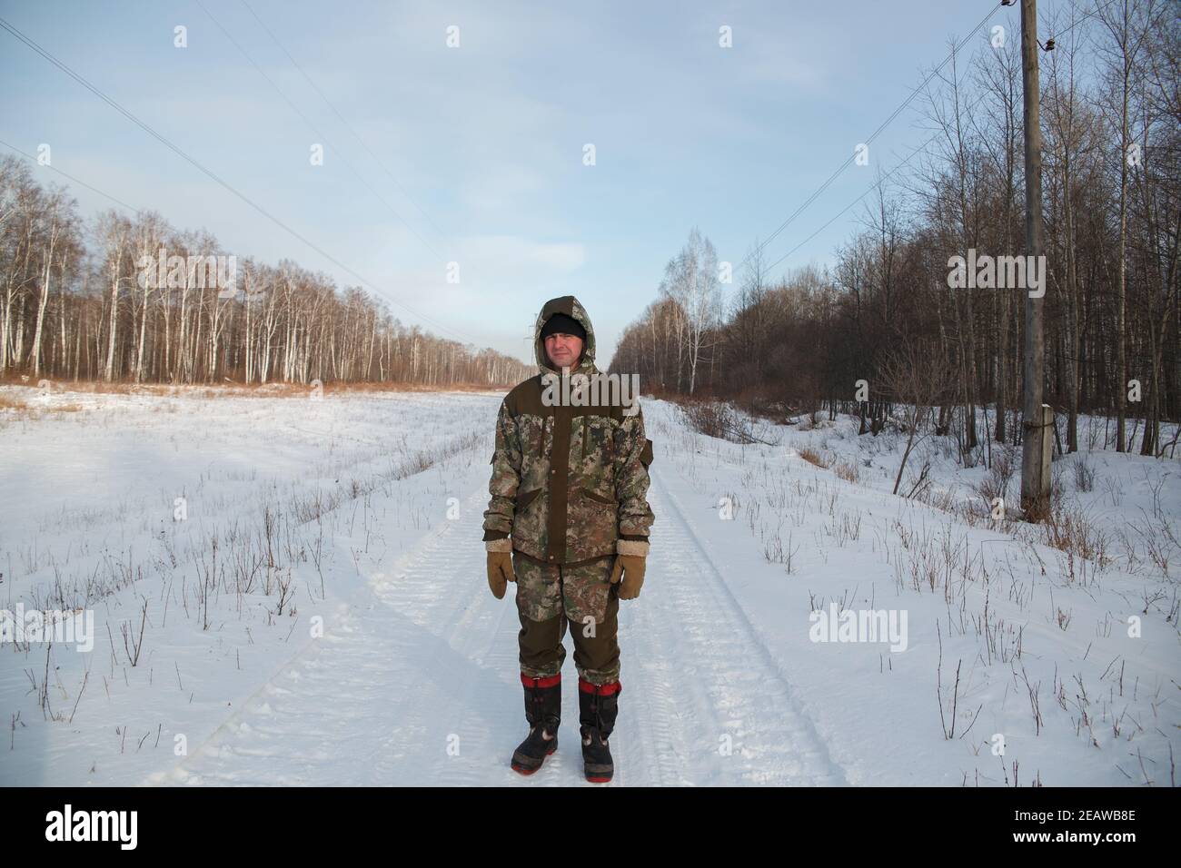 A logger saws a tree in the forest in winter, in Russia for firewood ...