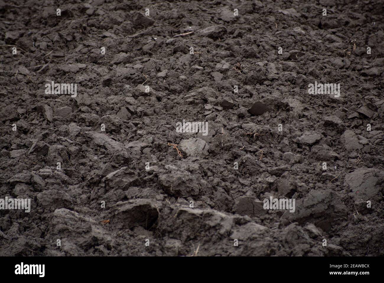 Rural texture hi-res stock photography and images - Alamy