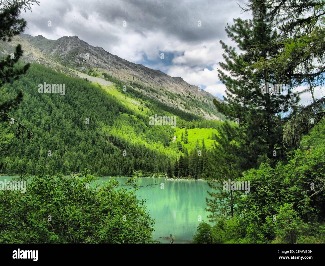 Nature is altai. Mountain landscape, forests and reservoirs of altai ...
