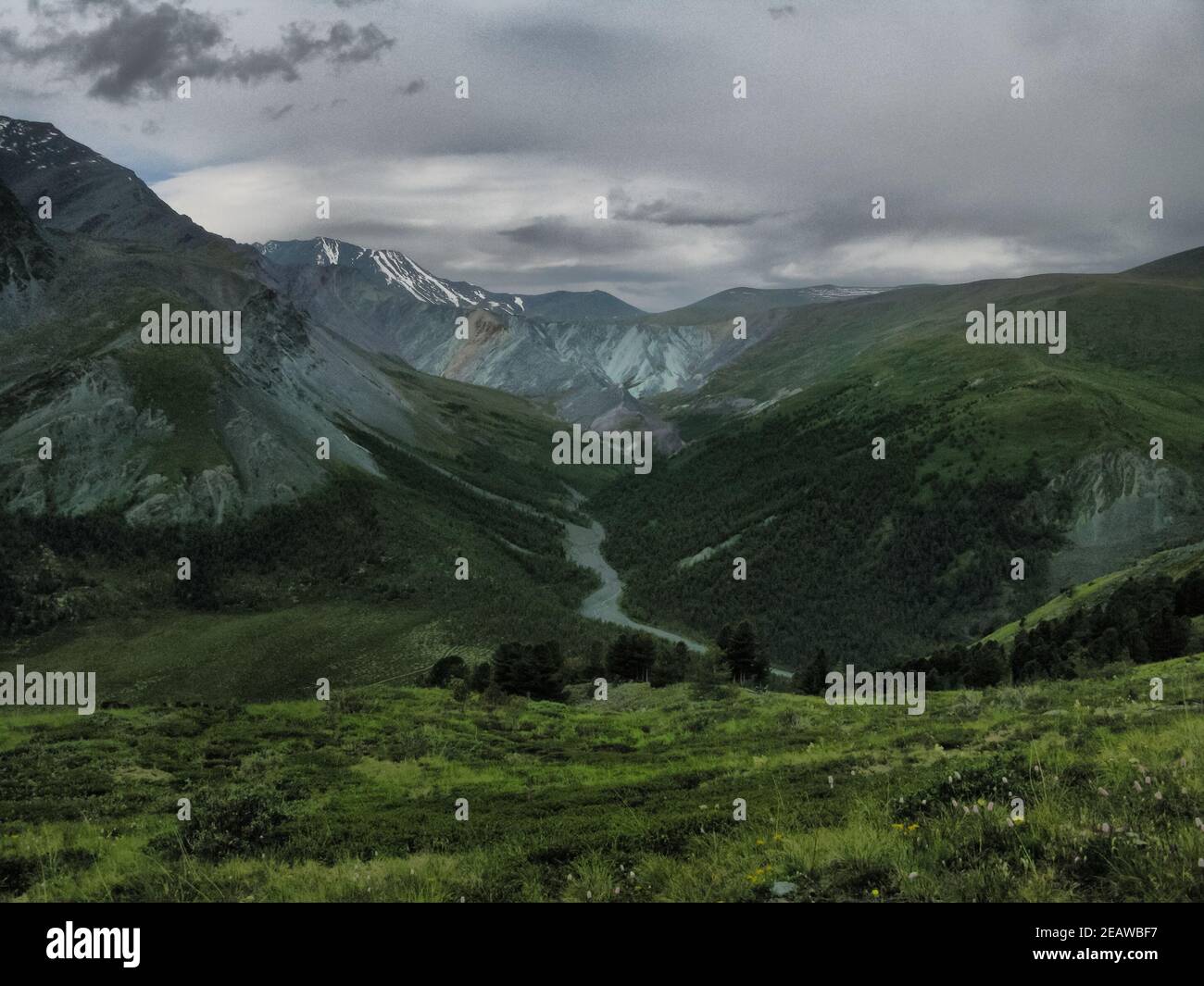 Nature is altai. Mountain landscape, forests and reservoirs of altai ...