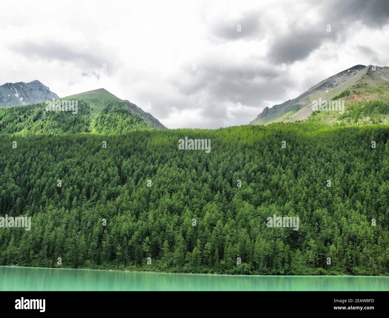 Nature is altai. Mountain landscape, forests and reservoirs of altai ...