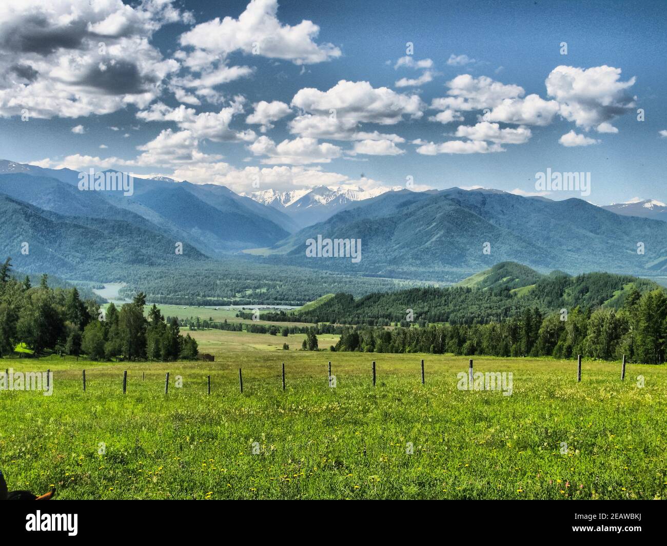 Nature is altai. Mountain landscape, forests and reservoirs of altai ...