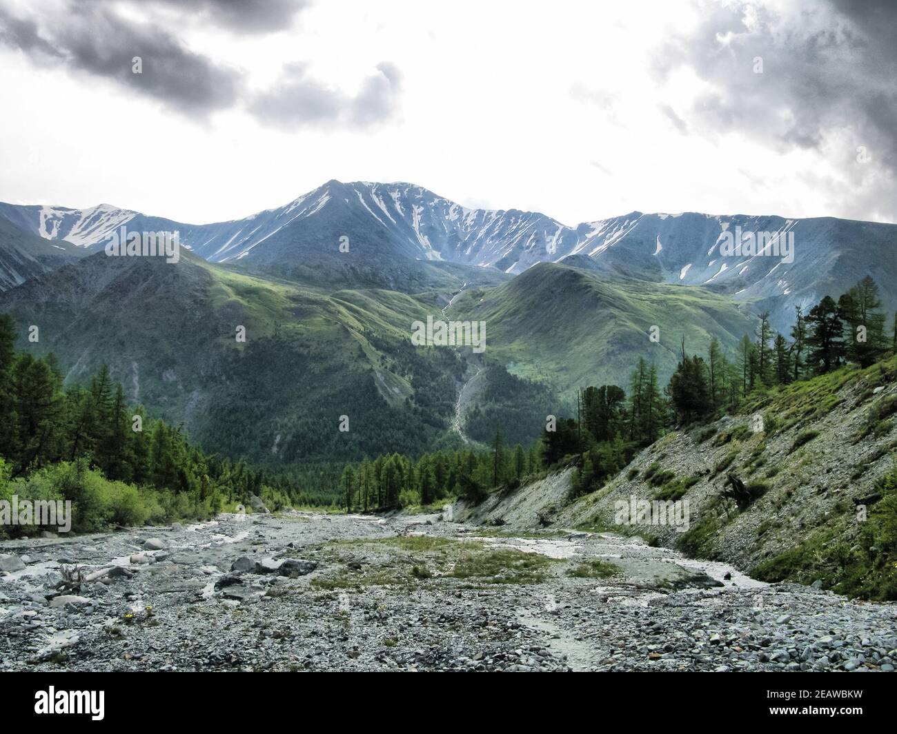 Nature is altai. Mountain landscape, forests and reservoirs of altai ...