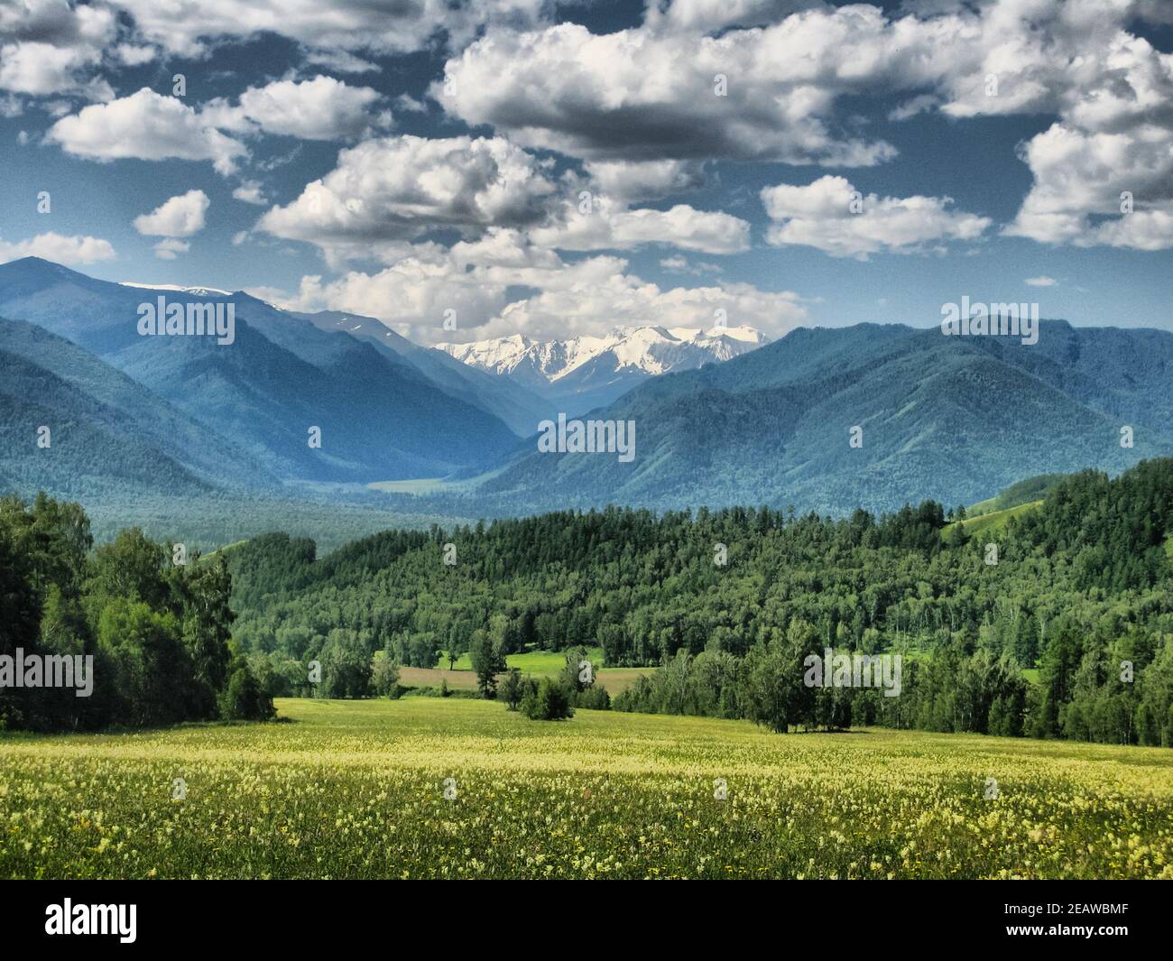 Nature is altai. Mountain landscape, forests and reservoirs of altai ...