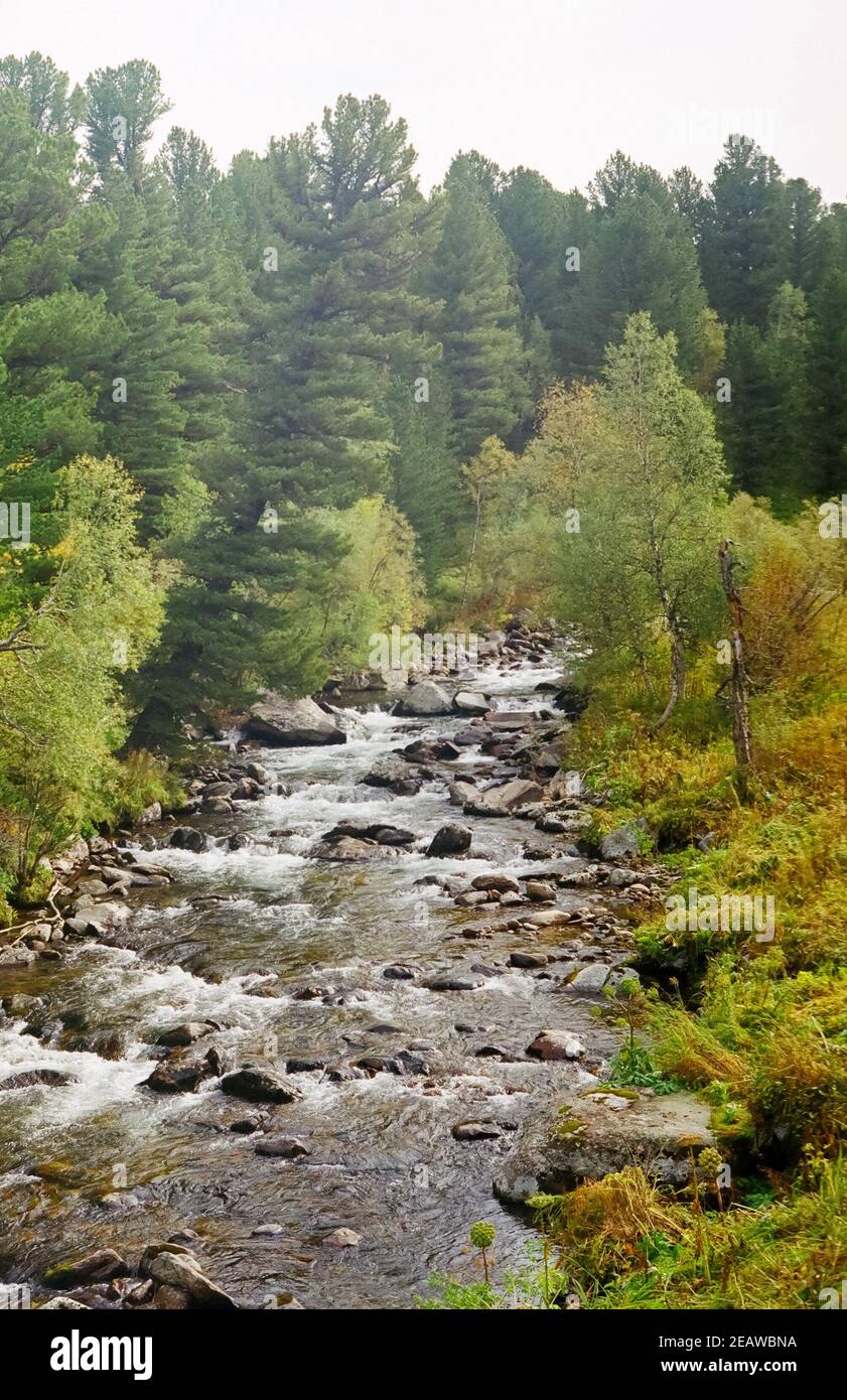 Shallow mountain river fast flow hi-res stock photography and images ...