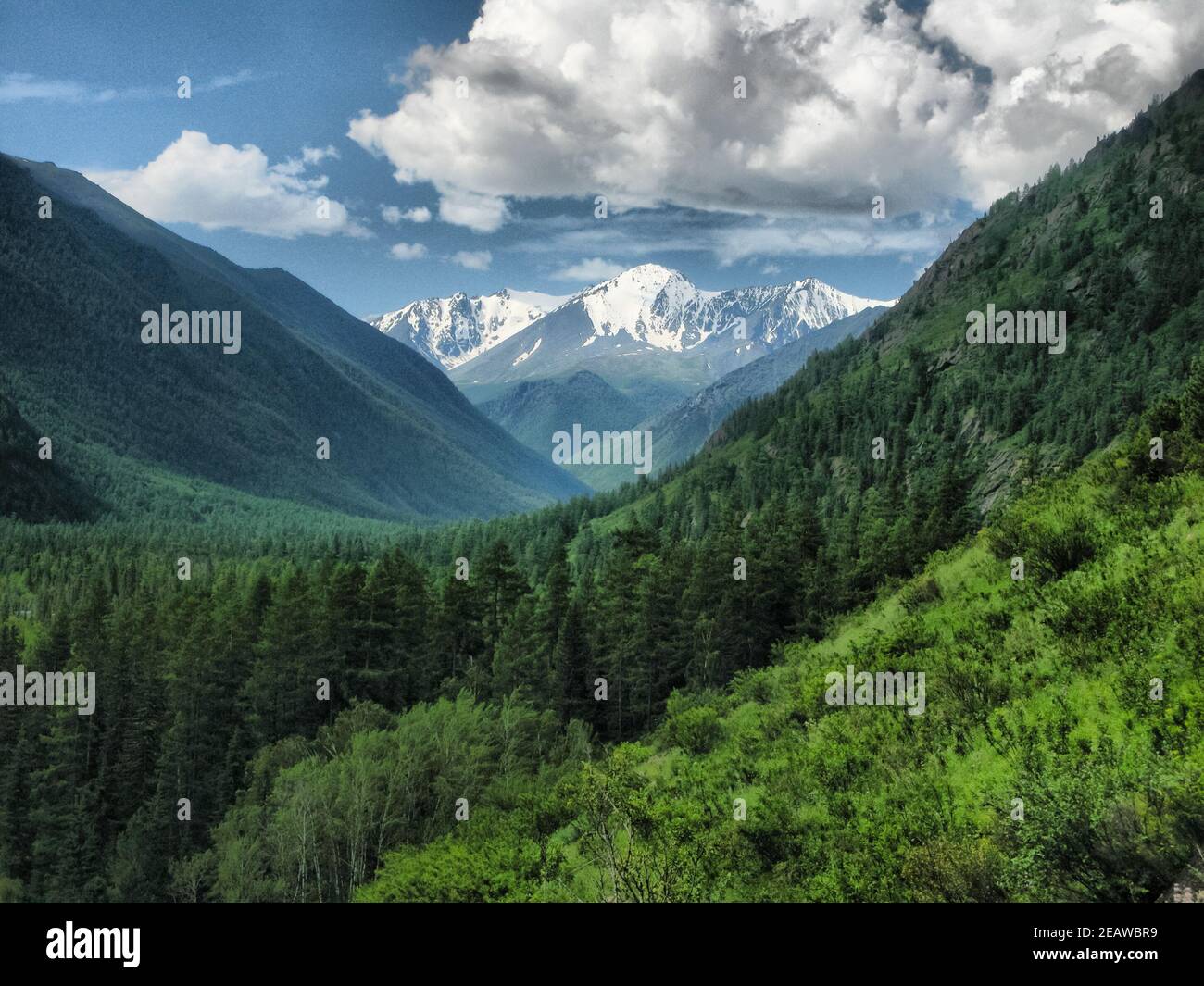 Nature is altai. Mountain landscape, forests and reservoirs of altai ...
