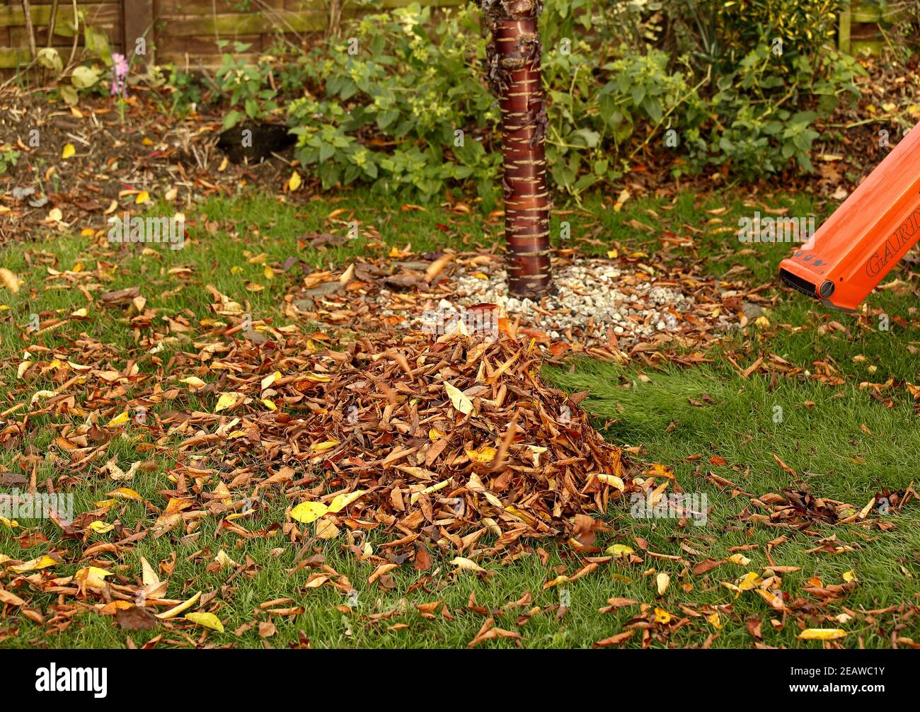 Garden vacuum hi-res stock photography and images - Alamy
