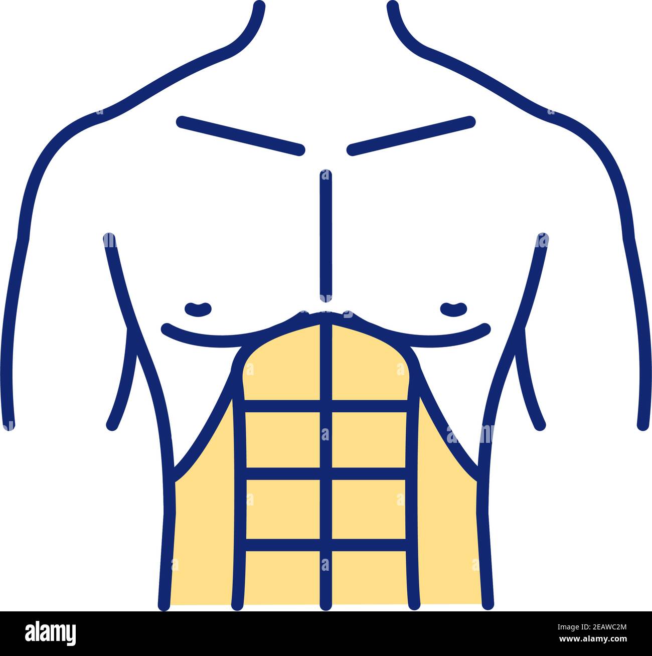 Abdominal muscles RGB color icon Stock Vector Image & Art - Alamy