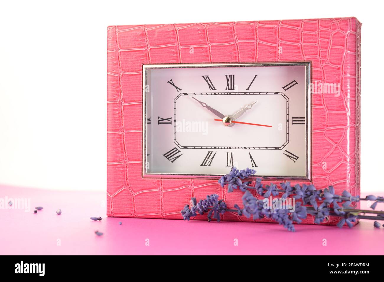 Pink Alligator Clock Stock Photo - Alamy