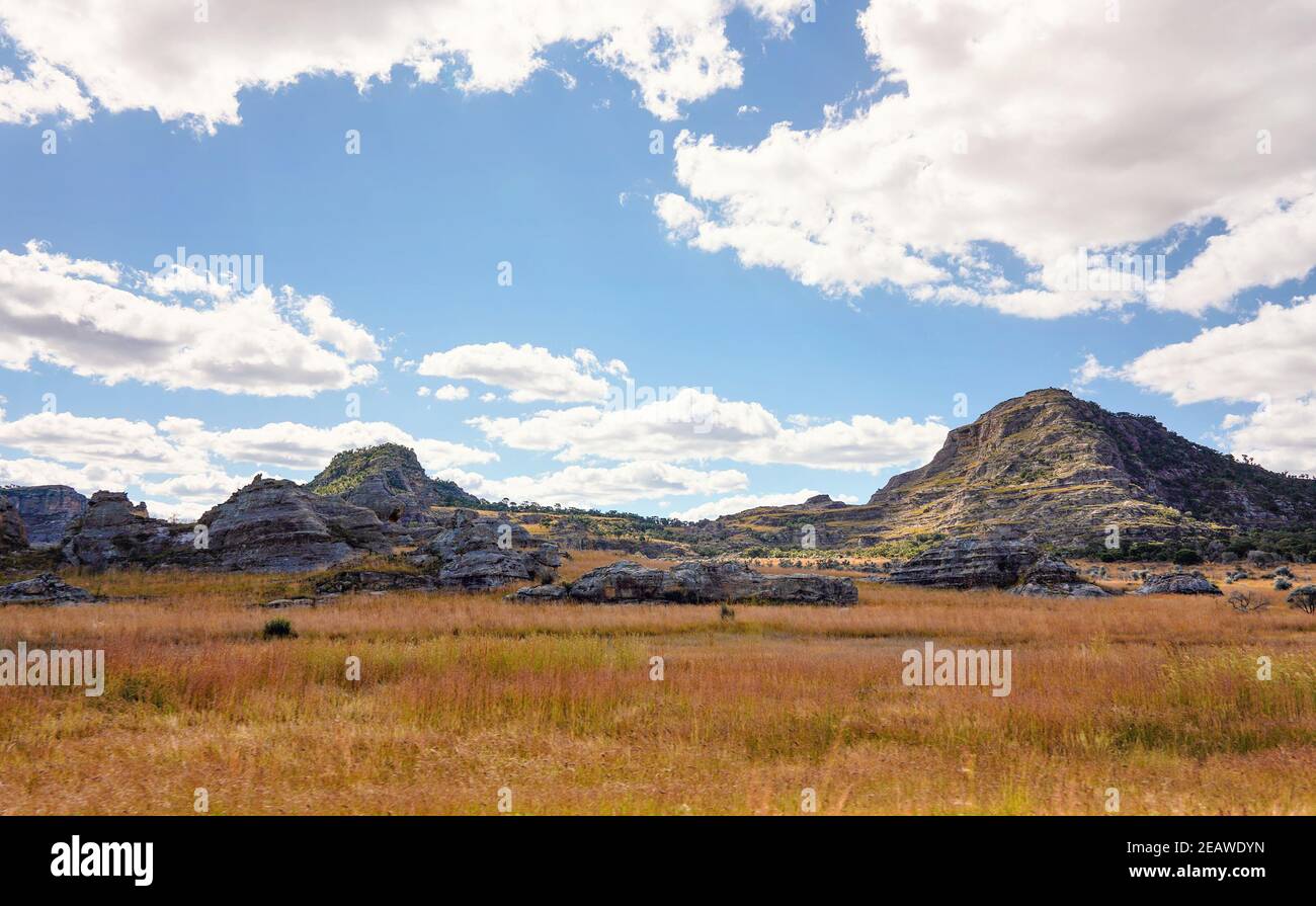 Low grass growing on African savanna, small rocky mountains in ...