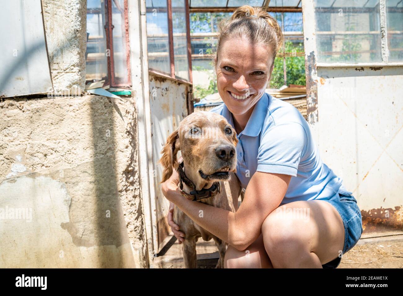 young woman with dogs in a greenhouse on the farm Stock Photo - Alamy