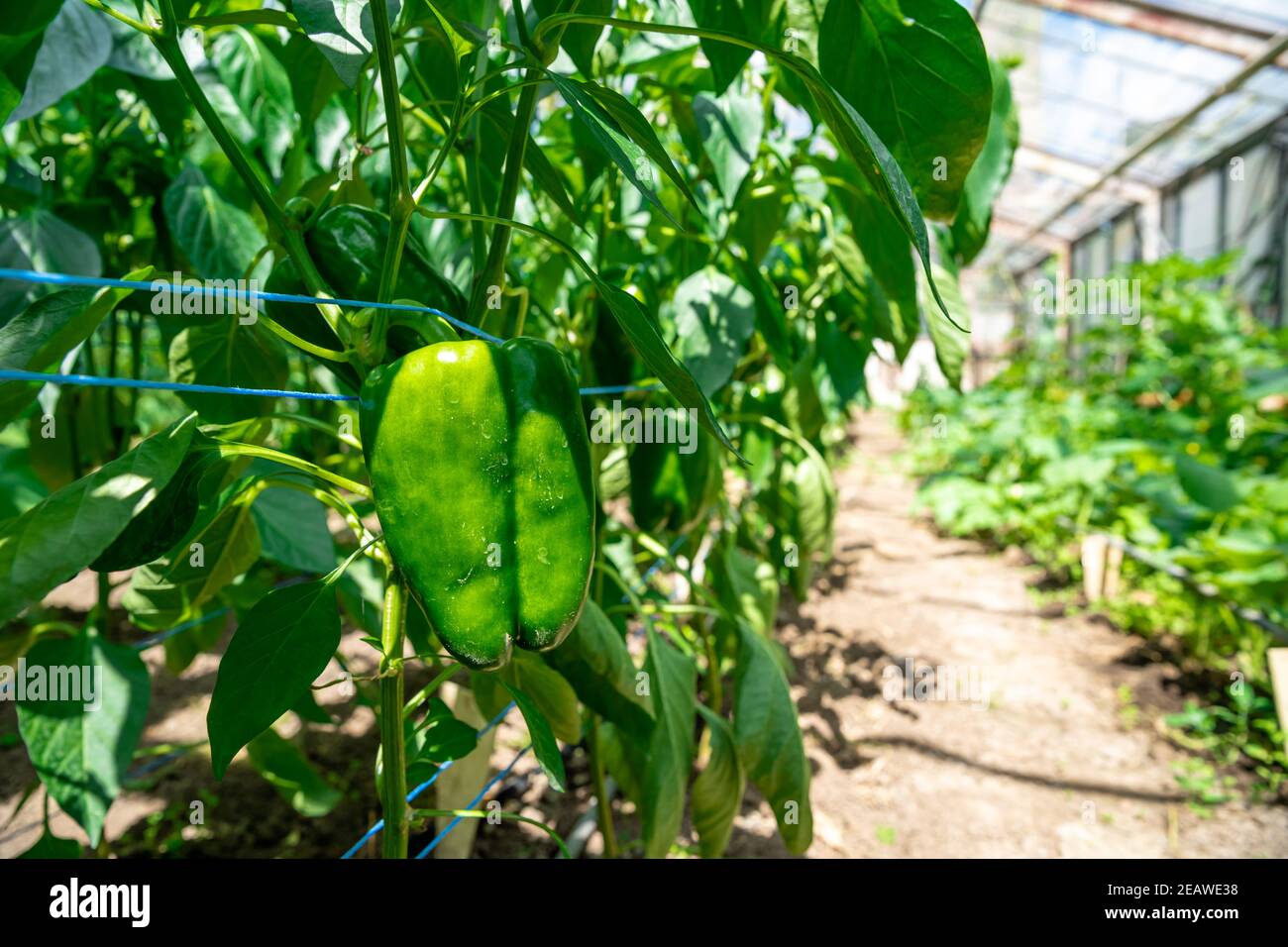 Farming technology hi-res stock photography and images - Alamy