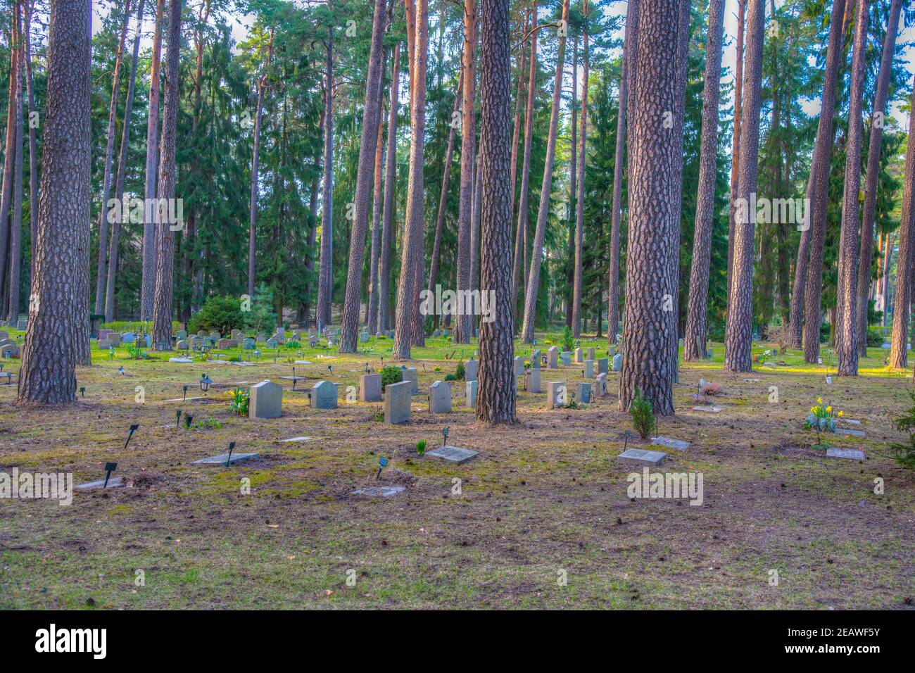 Tombstones at the Skogskyrkogarden, Unesco-listed cemetery, in ...
