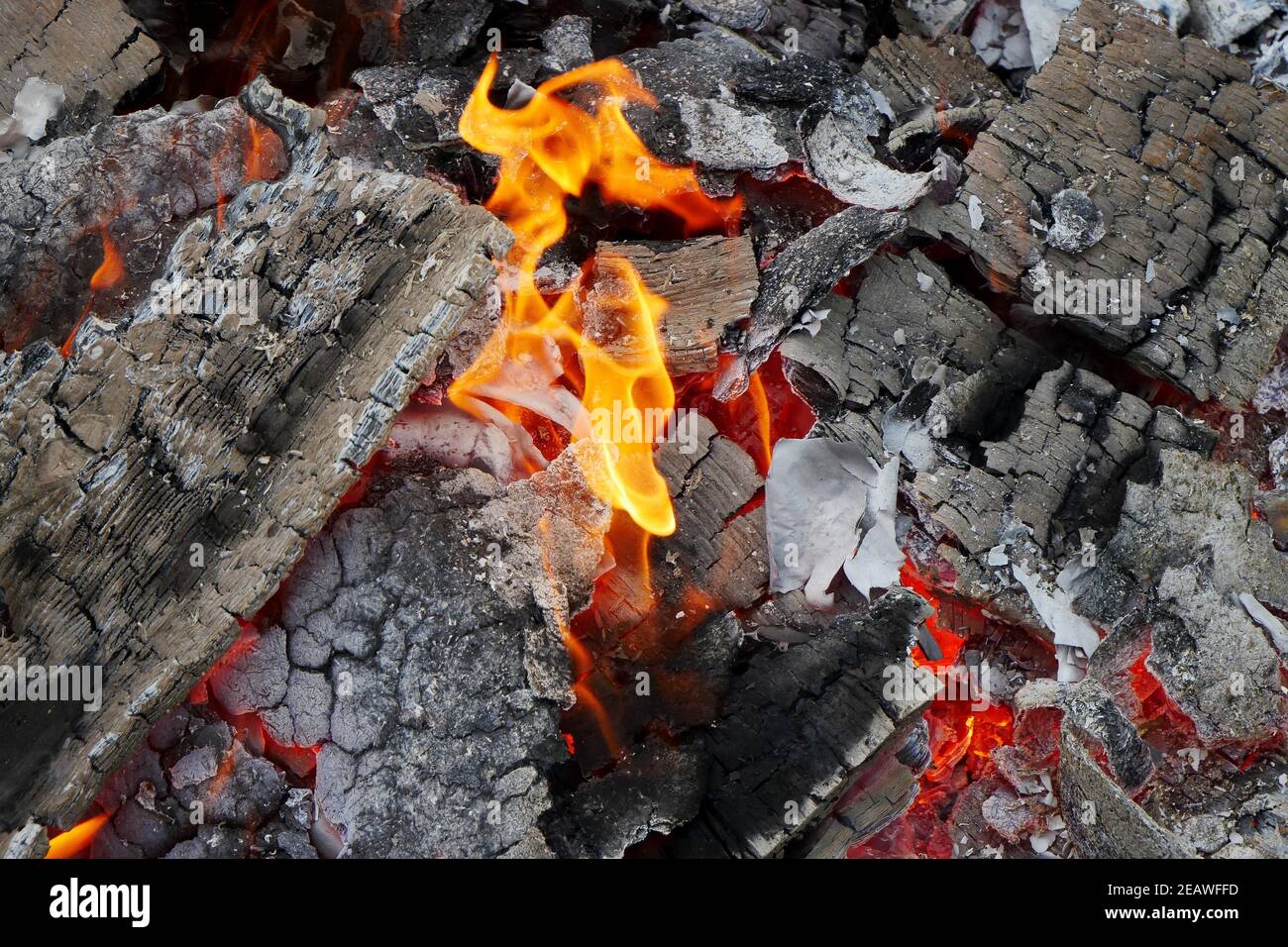 Burning wood, close-up view, France Stock Photo - Alamy