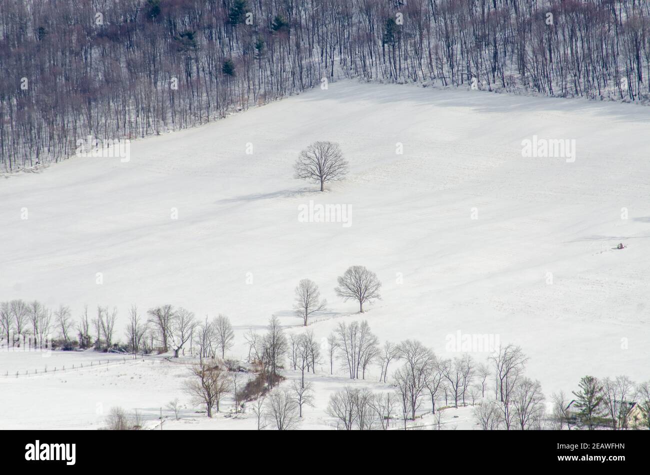 Blizzard white hi-res stock photography and images - Alamy