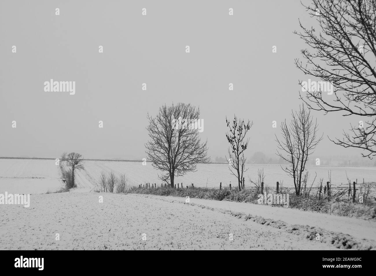 Winterland hi-res stock photography and images - Alamy
